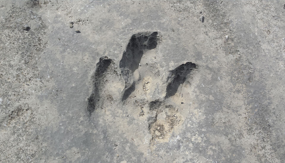 Lebap – Turkmenistan